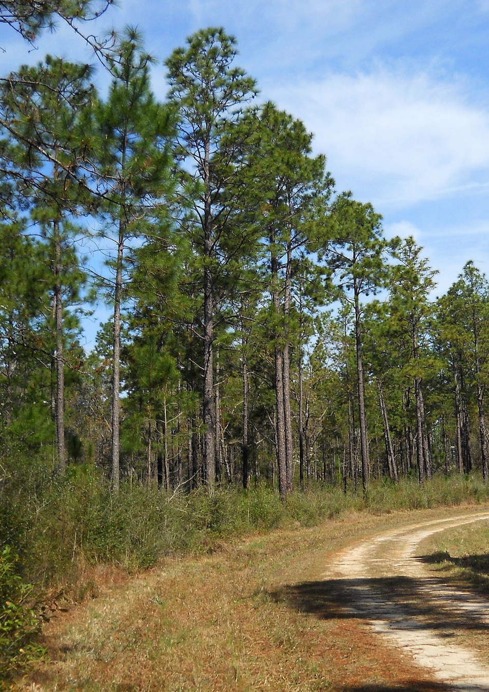 Interactive Map of Mississippi's Parks and Protected Areas
