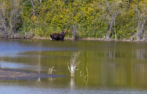 Interactive Map of Saskatchewan's Parks and Provincial Parks